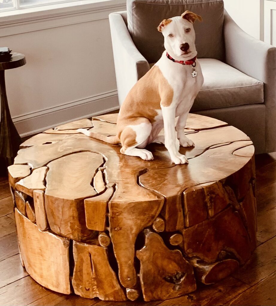 Staff - Middleburg Design Company